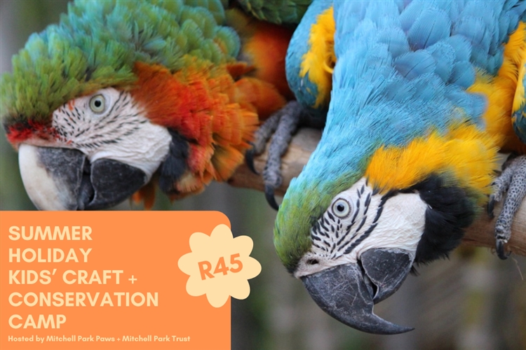 Kids Craft + Conservation Camp