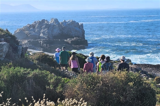 Hermanus Cliff Path Fun(d) Walk