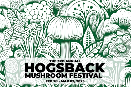 Hogsback Mushroom Festival